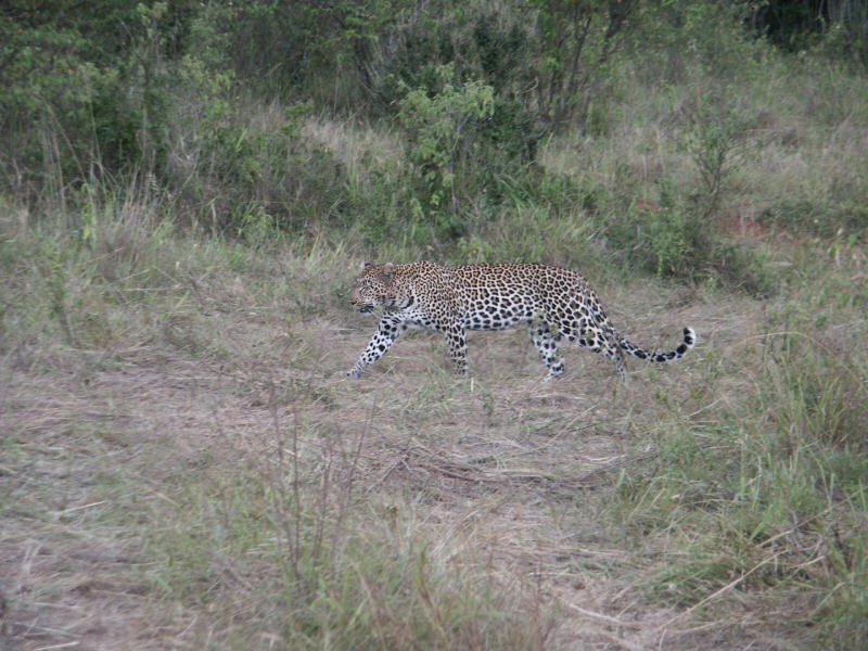 New Page 3 [www.wietelworld.com]