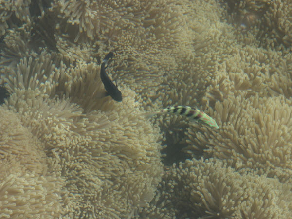 New Page 3 [www.wietelworld.com]